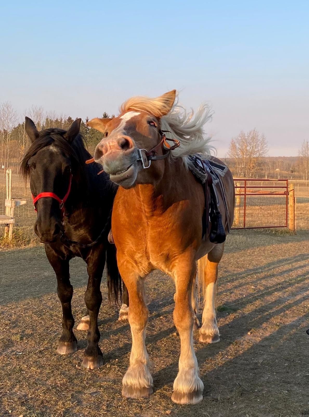 Welcome to 2023 - Titan Ranch, Alberta, Canada